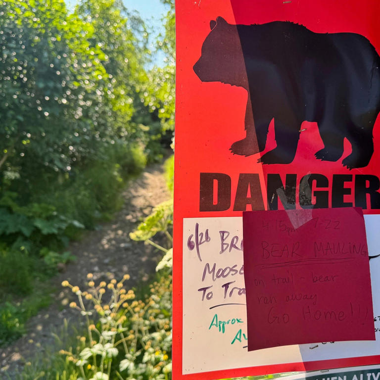 Bear attacks jogger in Alaska, drags her 100 yards