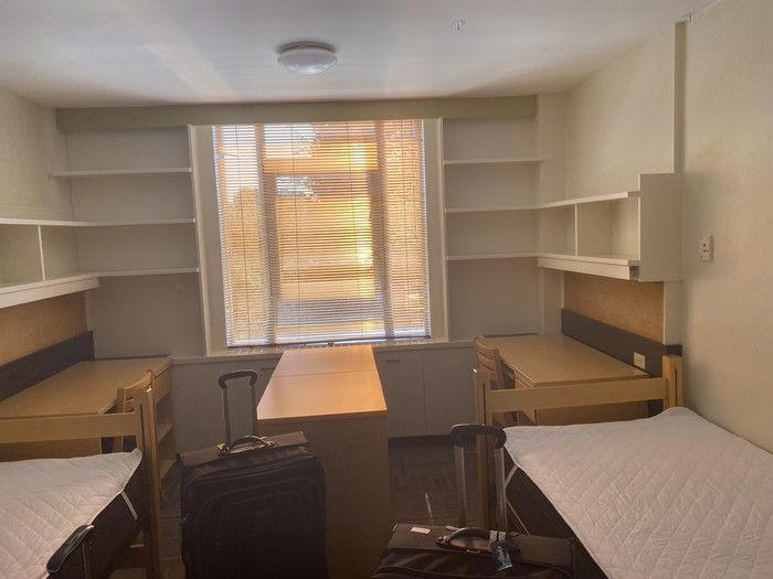 How to decorate a dorm for form and function