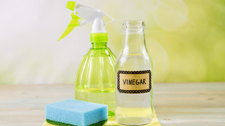 Clean Your Home With These Handy Bleach Alternatives