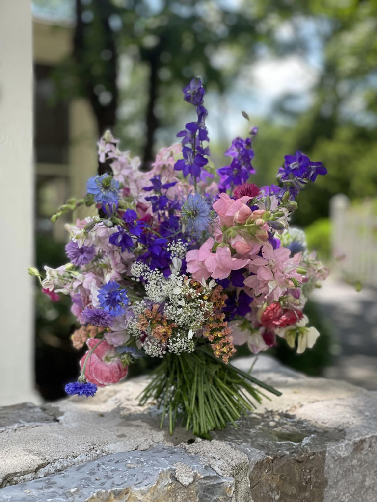 9 Flowers to Plant NOW for a Gorgeous Spring Cutting Garden