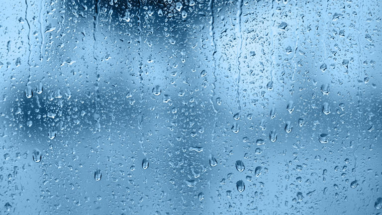 Wet weather to return Saturday