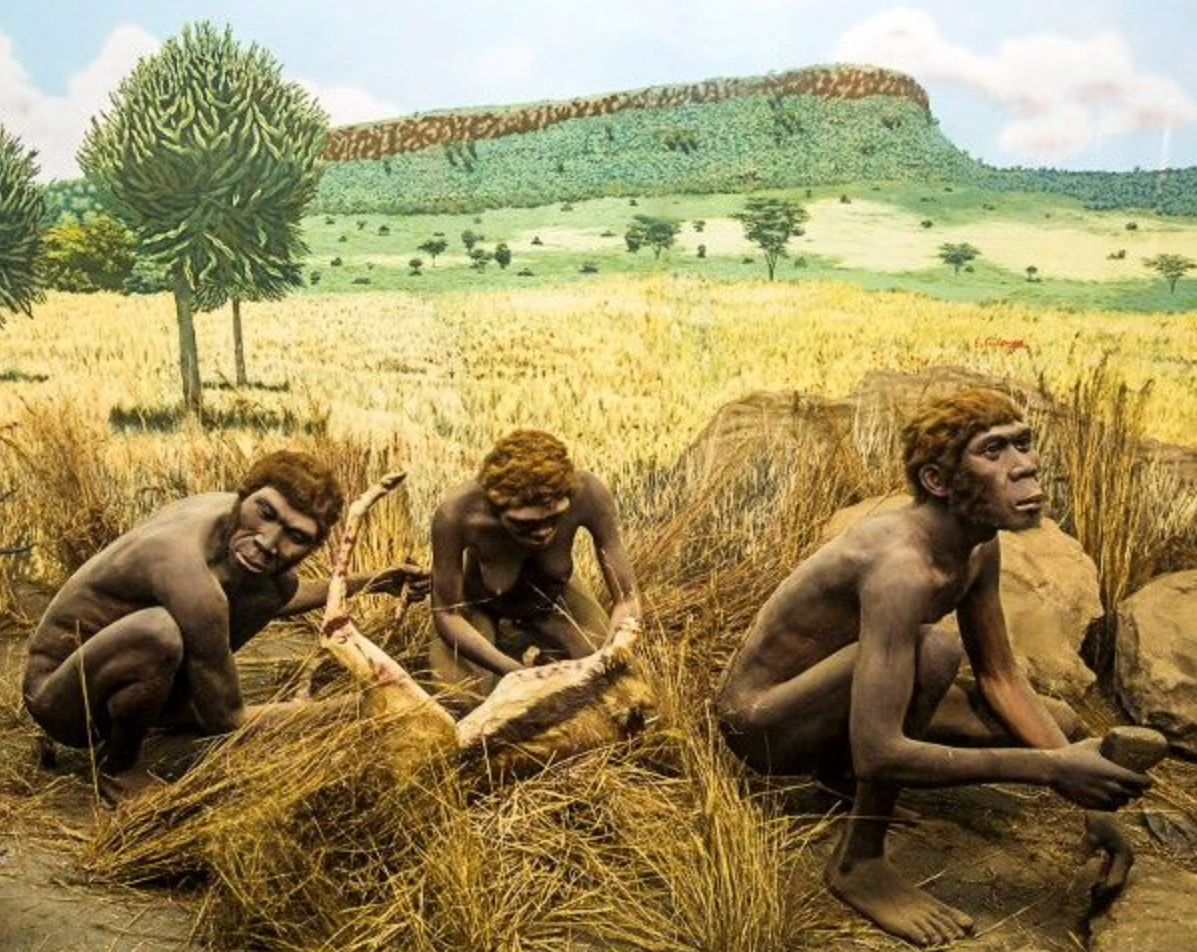 Climate change nearly wiped out early humans 900,000 years ago