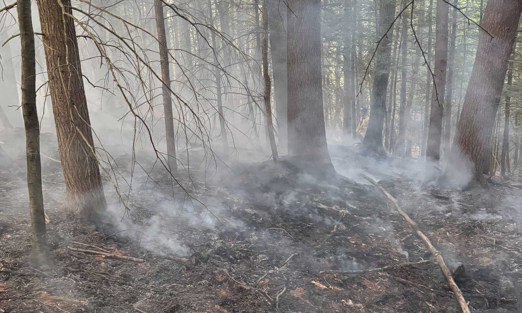 Brush fire in Keene under investigation, officials say