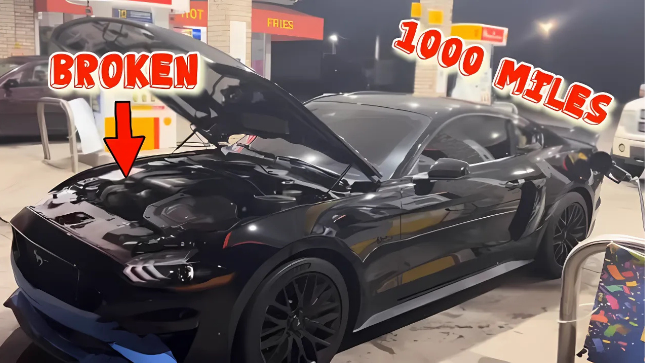 Driving My Straight-Piped Mustang 1,000 Miles: Epic Road Trip Adventure