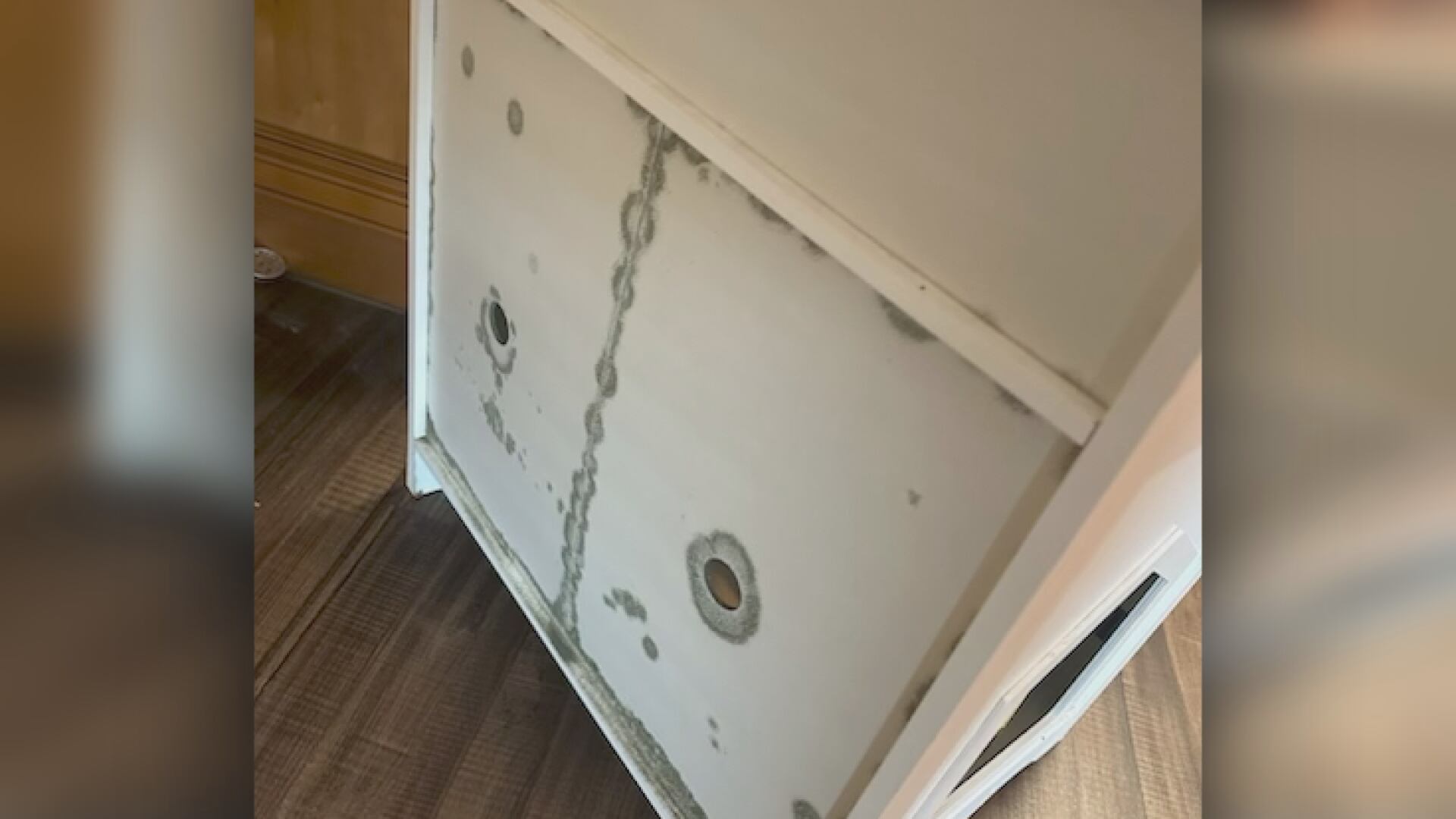 Forced to move due to mold issues, Lebanon family said they’ve lost ...