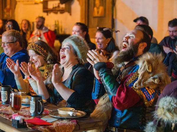 Judge appoints special masters to oversee 2025 Texas Renaissance Festival