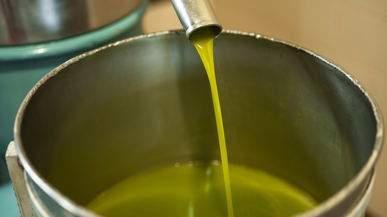 The Ultimate Guide To Buying Olive Oil