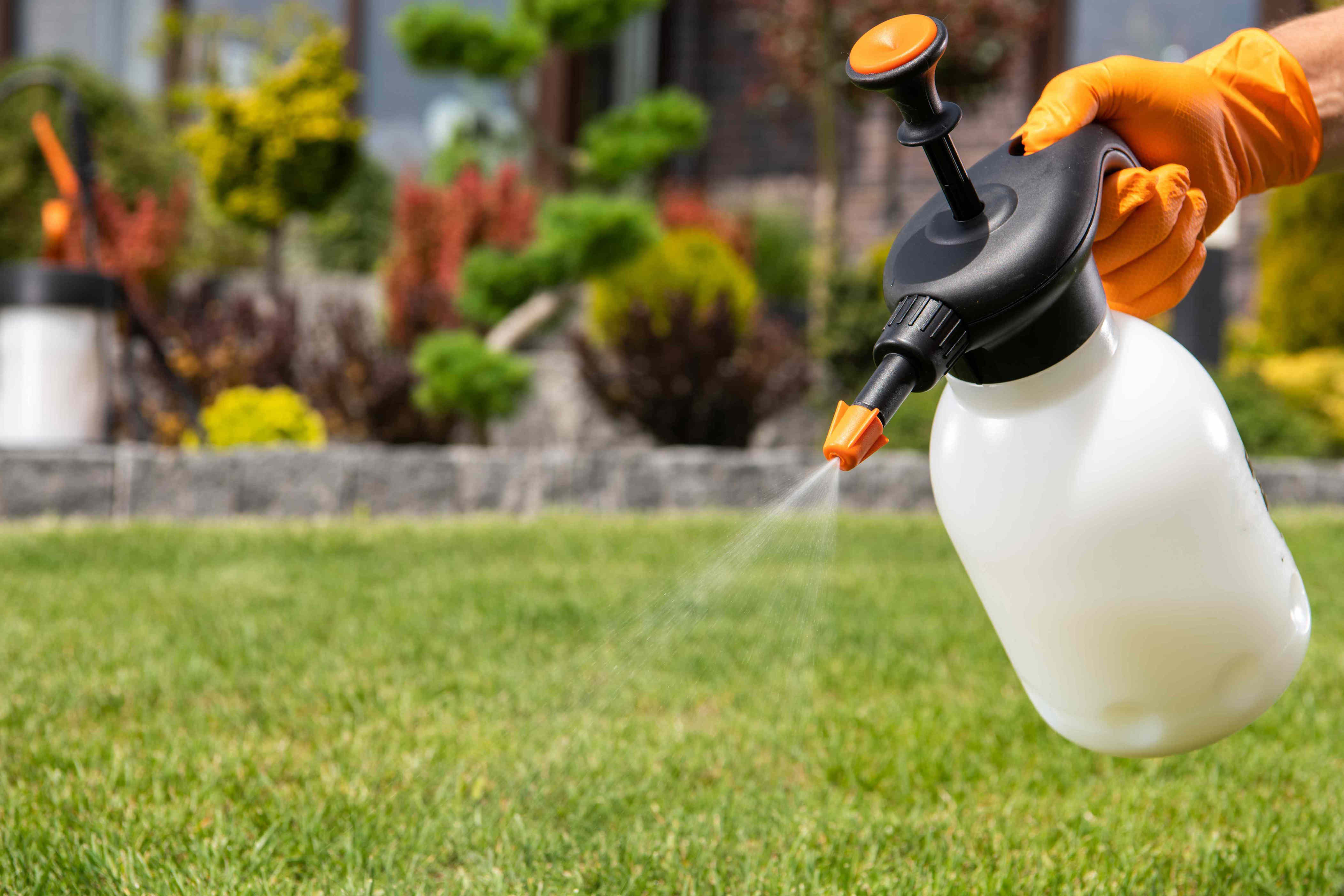 The best time to apply post-emergent so weeds don’t come back