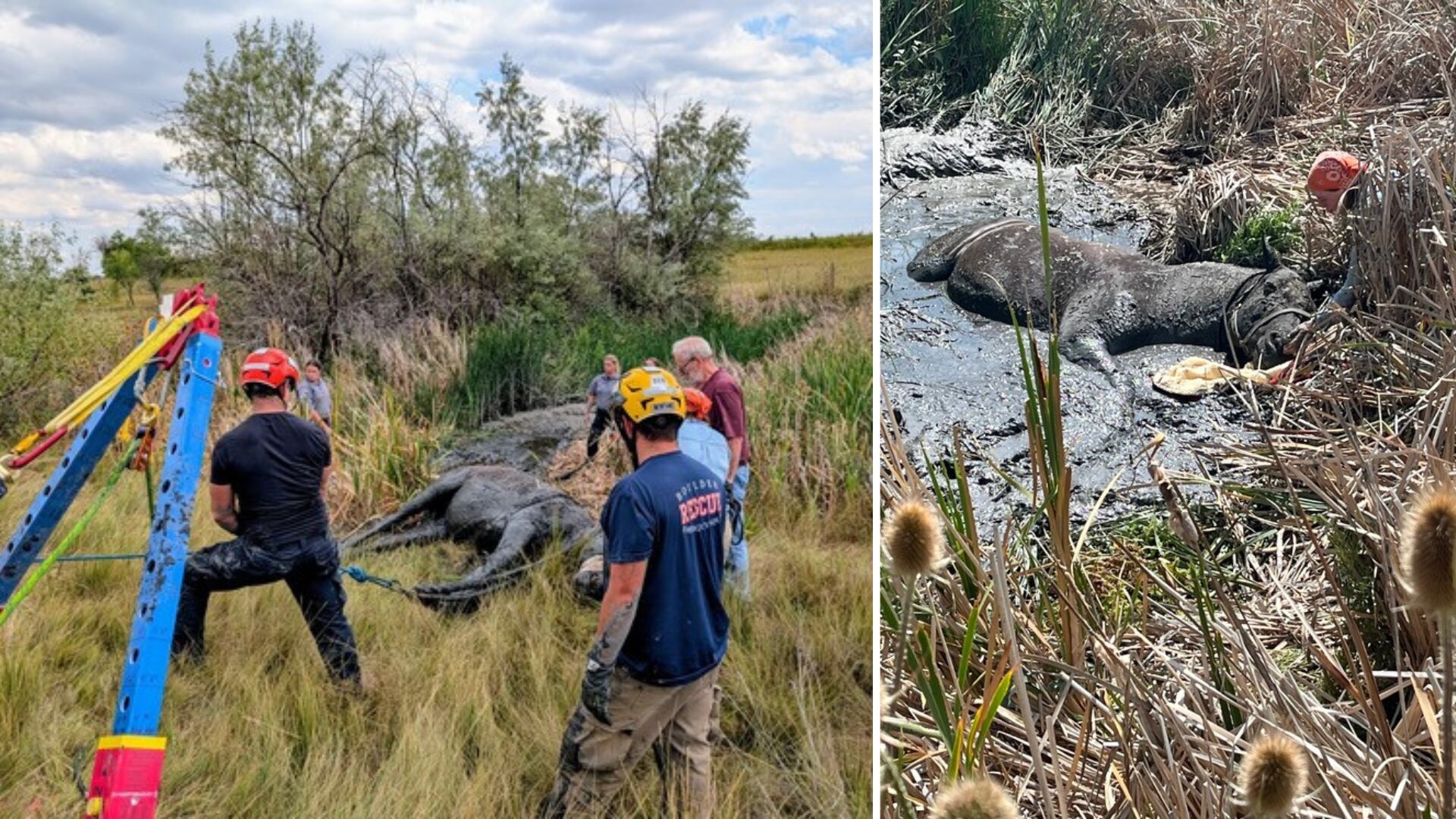 Rescue teams free horse trapped in the mud in Boulder County