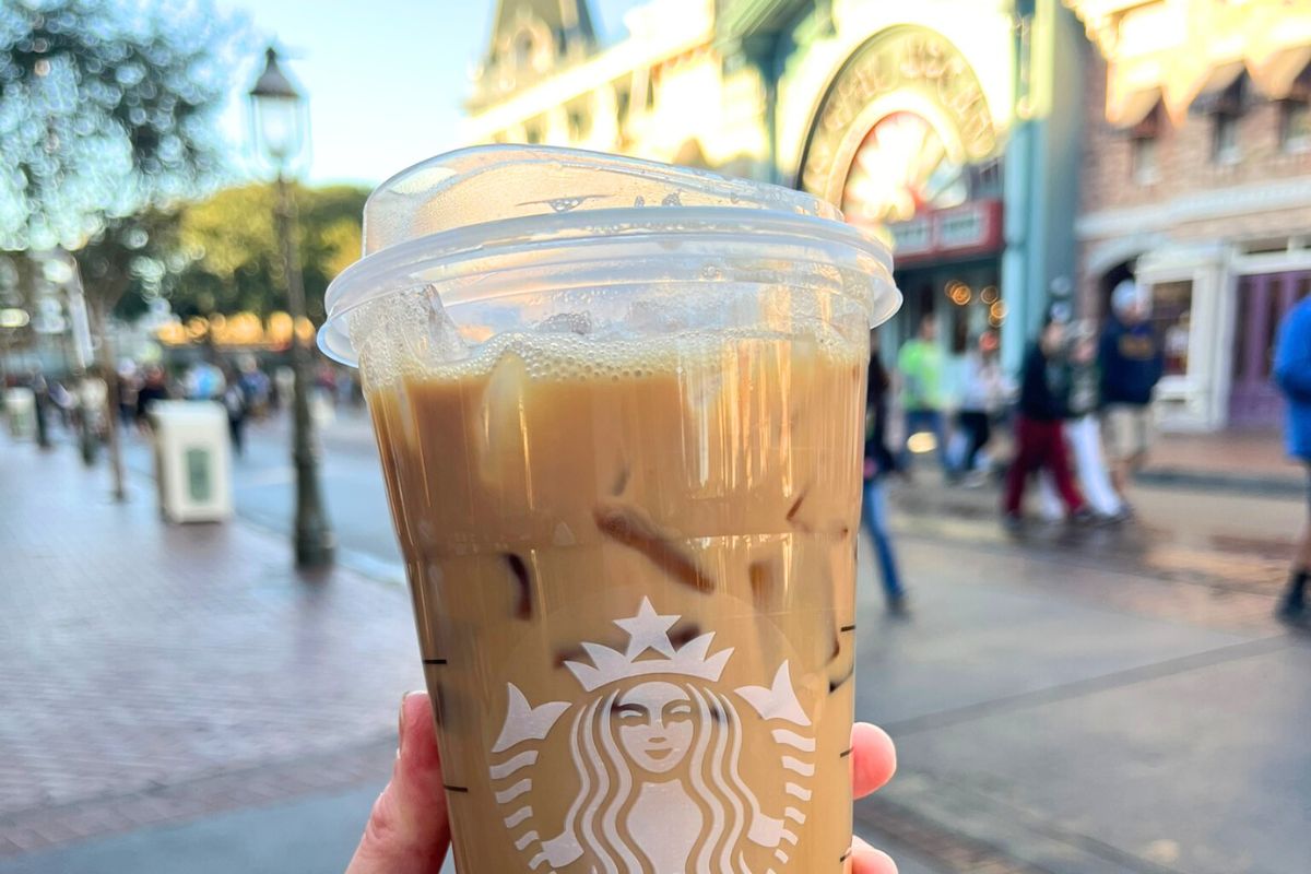 12 Best Disney World Insider Tips Only The Pros Know
