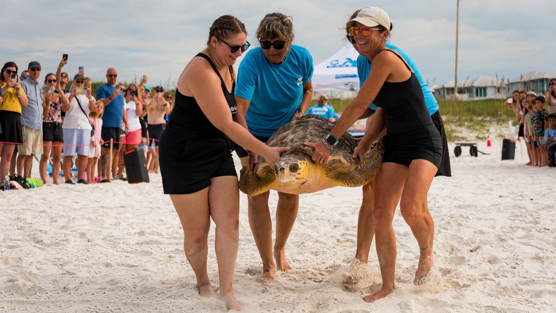 Five rehabilitated sea turtles released at Inlet beach