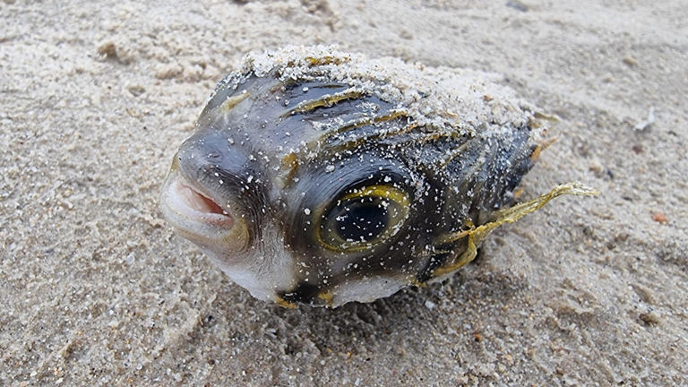 4 Zodiac Signs Meet Fated Romantic Shifts During September's Eclipse Season