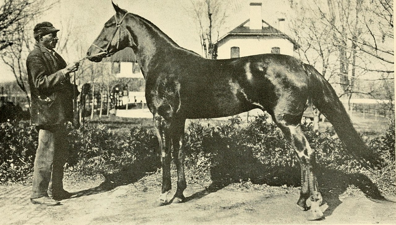 The life and death of legendary Al Capone