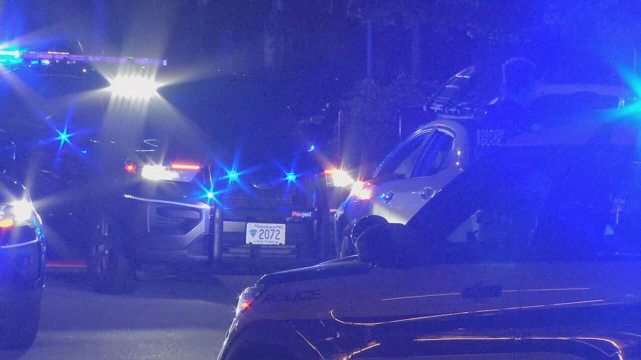 Two juveniles apprehended, search ongoing for driver accused of ...