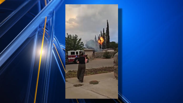 Lightning strike ignites palm tree in West El Paso
