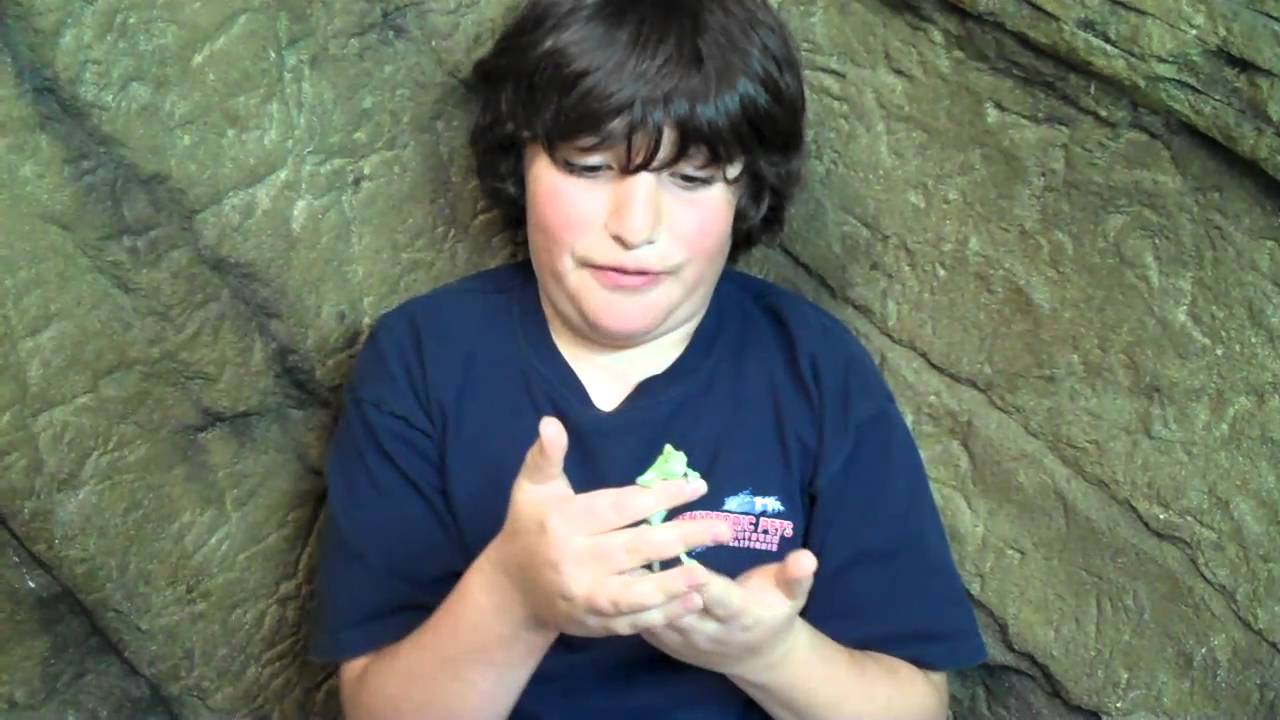 Adam introduces Rangolina the chameleon