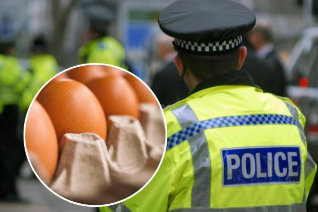 Police up patrols after house 'egged over more than a month'