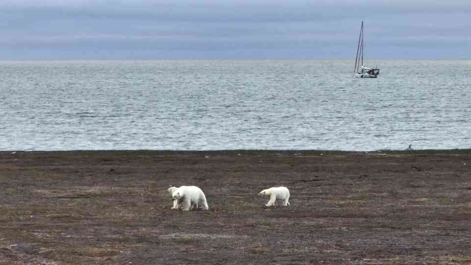 Maritime Ice Passage: Navigating Active Sea Ice Under Extreme Pressure