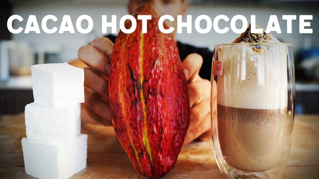 Making Hot Chocolate Straight from a Cacao Pod