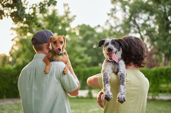 The top 7 best behaved dog breeds according to a behaviourist