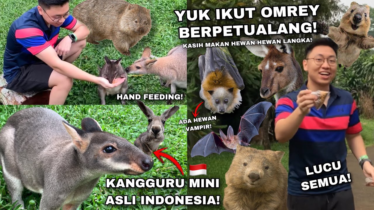 Pecinta Hewan Unik Wajib Kesini! Petualangan & Interaksi dengan Hewan ...