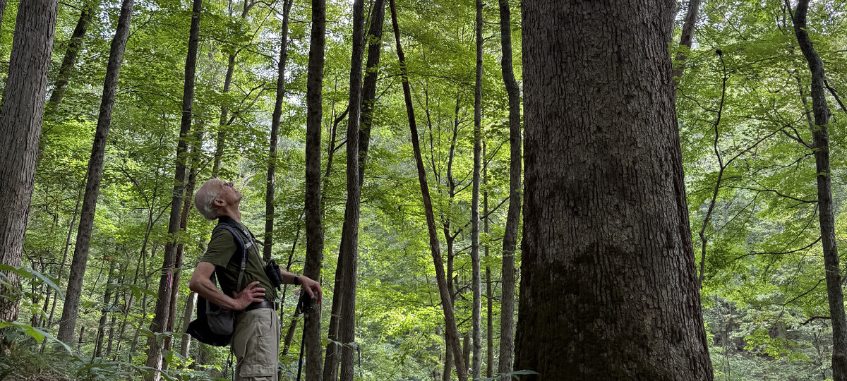 How This Nature Preserve Ended Up Named for Logging Company Founder