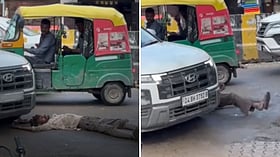 Drunk Man Run Over By Car In Gurugram's Bhuteshwar Chowk, Survives With ...