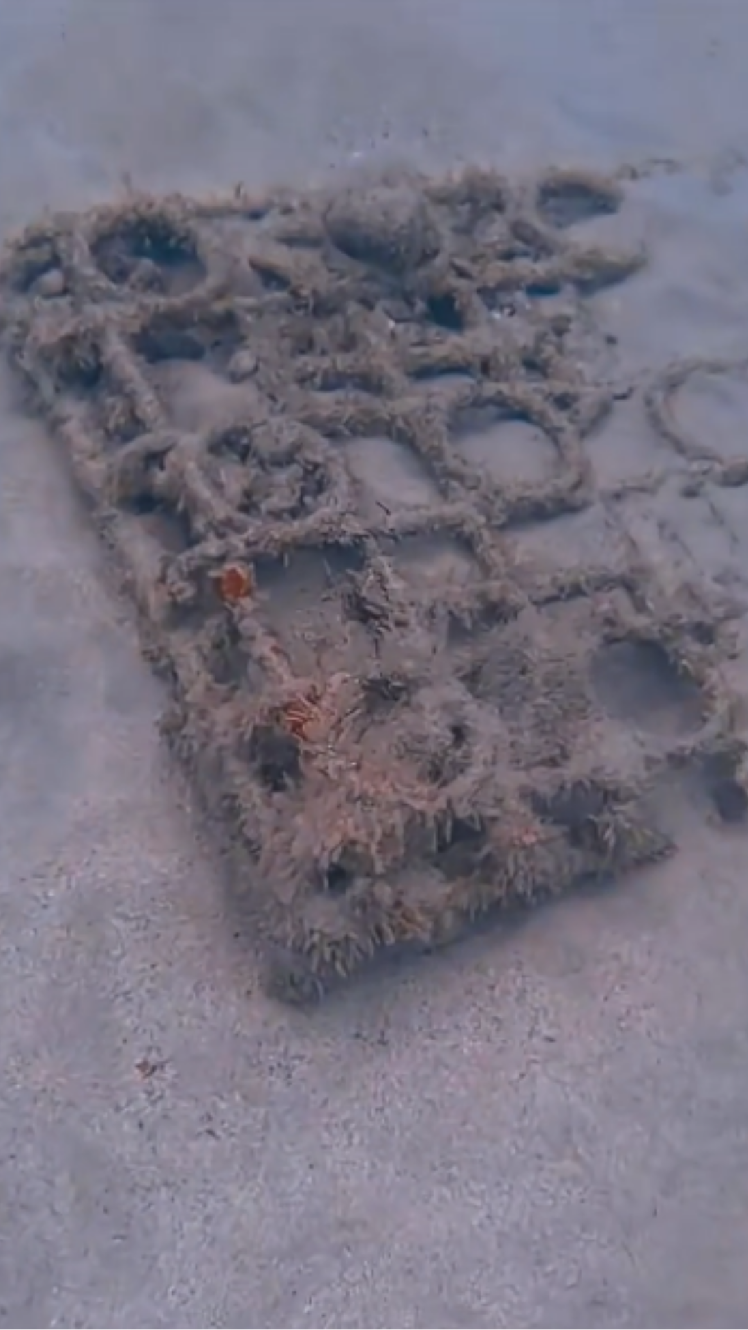 Cleaning the Ocean Floor: A Step Toward Sustainability
