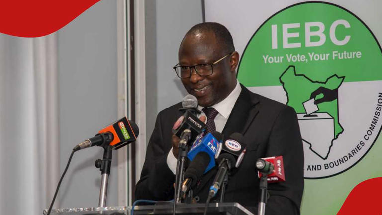 2027 elections: Opposition leaders sue IEBC over handling of ...