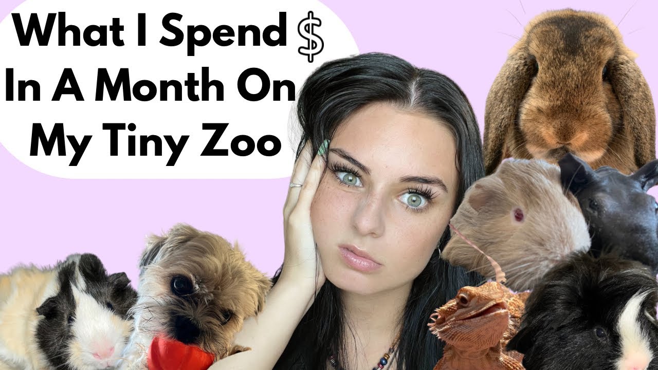 How Much My Pets Cost per Month: Real-Life Pet Expenses