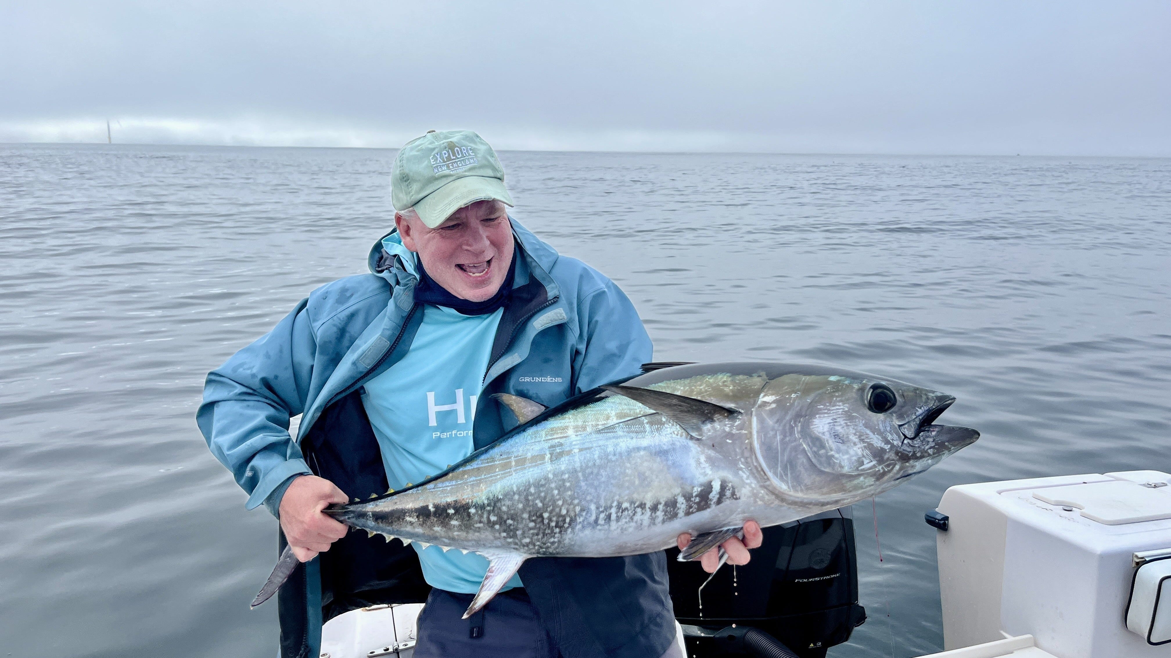 Wind farm shutdown will negatively affect fish stocks, anglers and ...