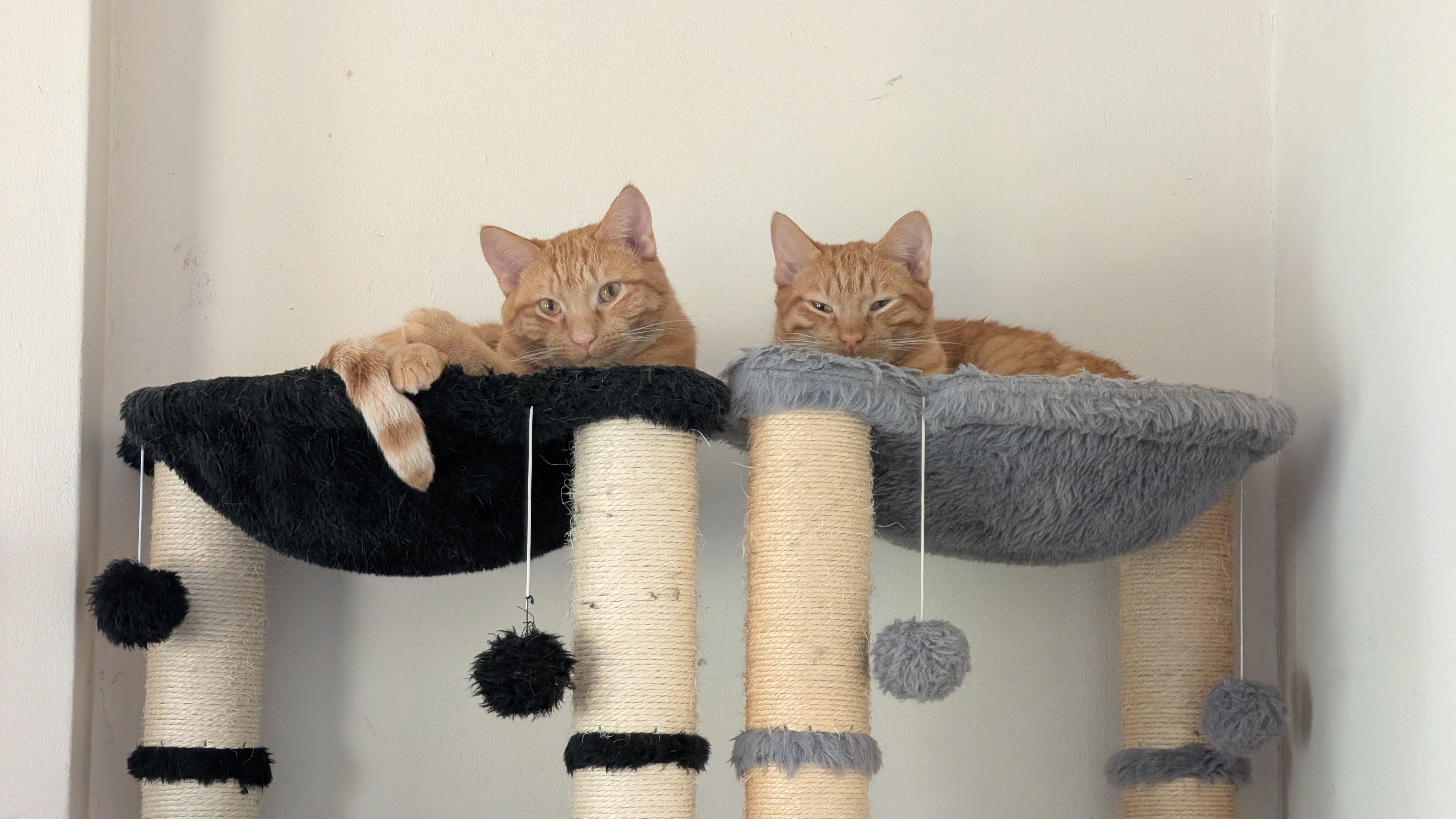 Google Pixel 10 Pro – Camera Samples