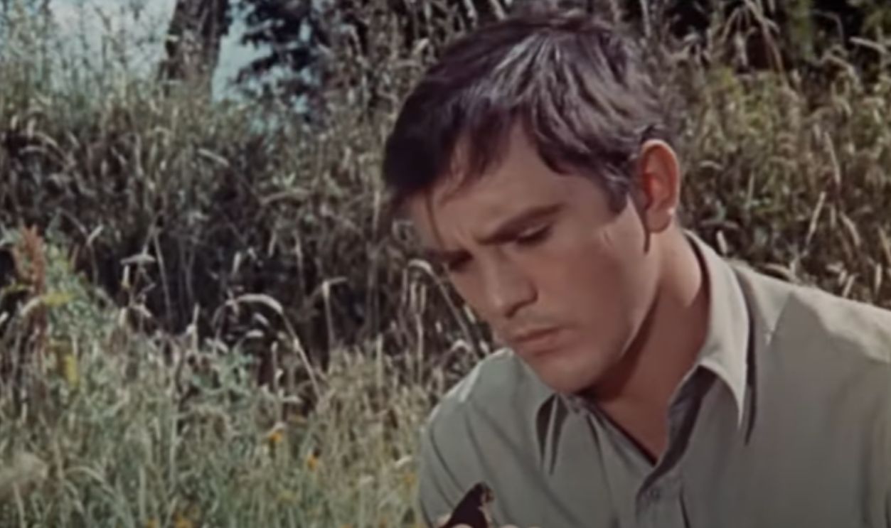 Terence Stamp’s greatest film roles marked his six-decade cinematic ...