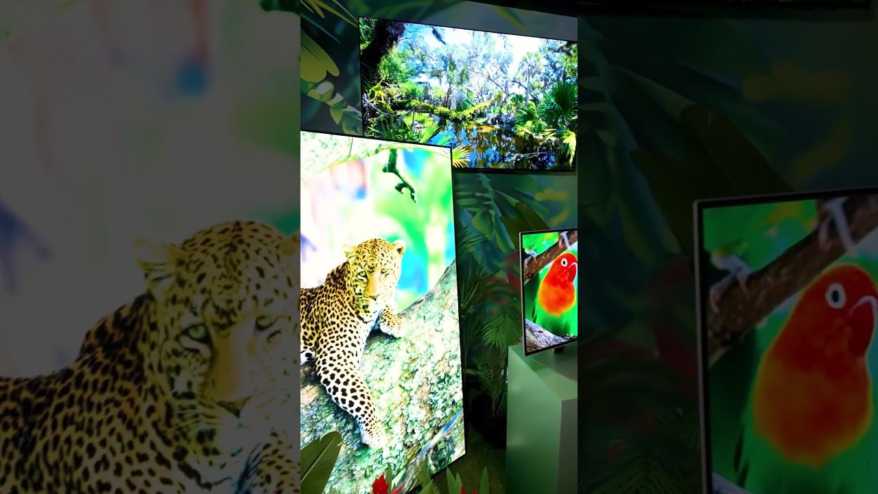 New generation of QD-OLED displays impress in action