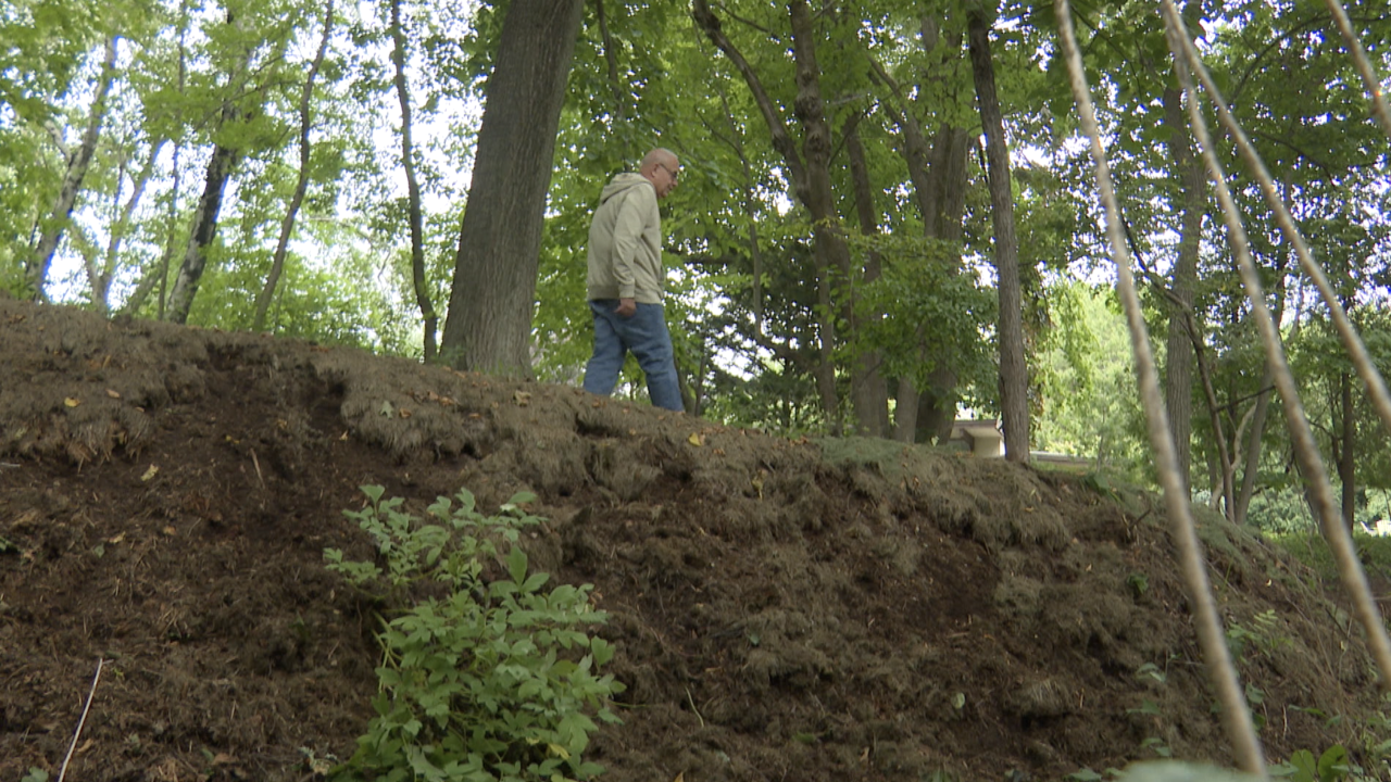Mequon wetland restoration project aims to reduce flooding, erosion ...