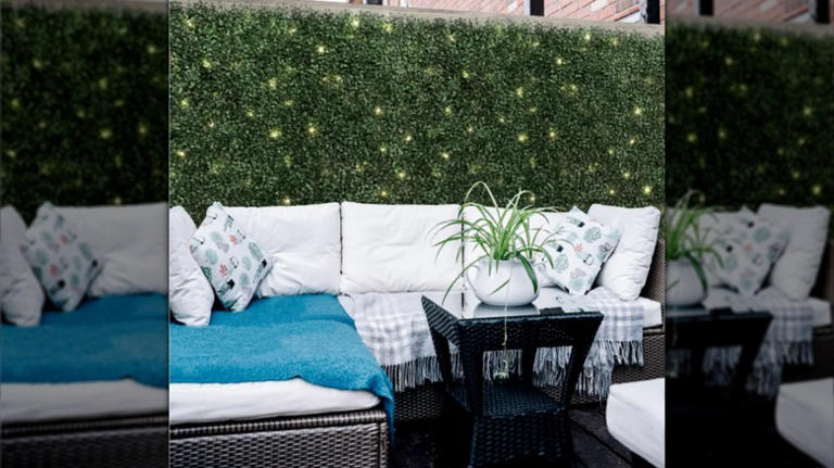 The Viral, Light-Up Costco Find That Offers Backyard Privacy