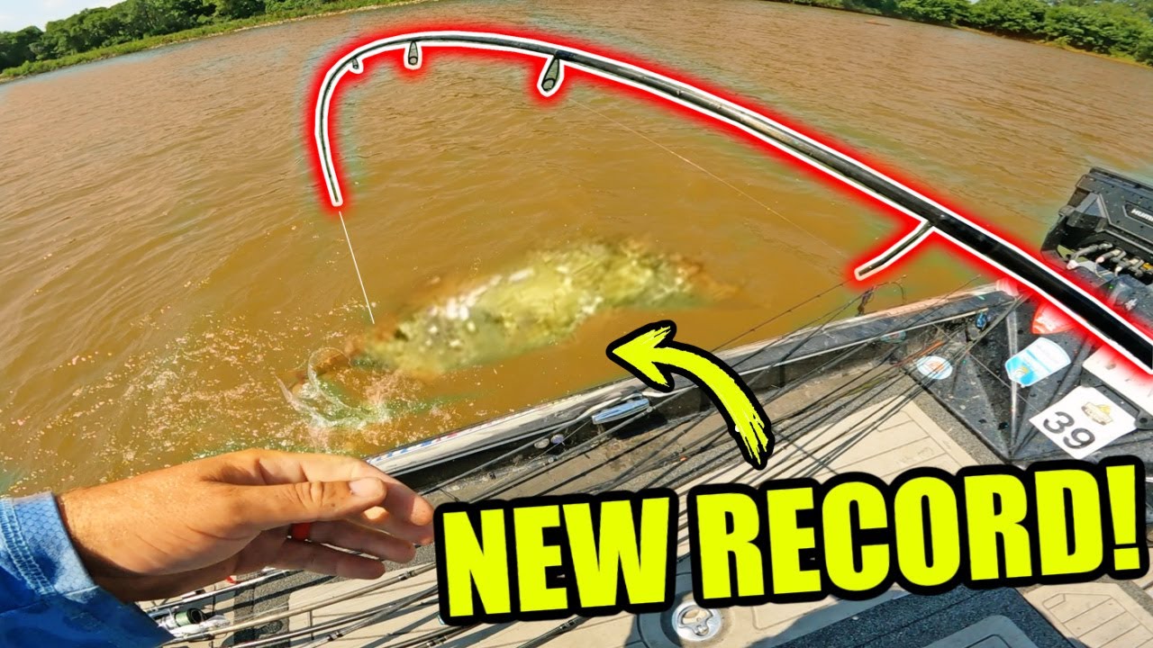 Pulling an unexpected pond monster from muddy water