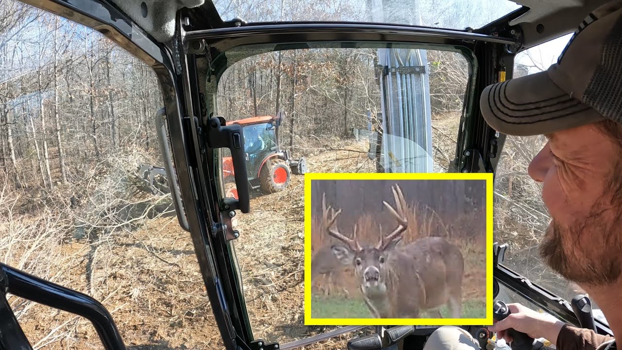 Expanding Food Plots & Clearing Land with Bobcat E42 R2 Mini Ex ...