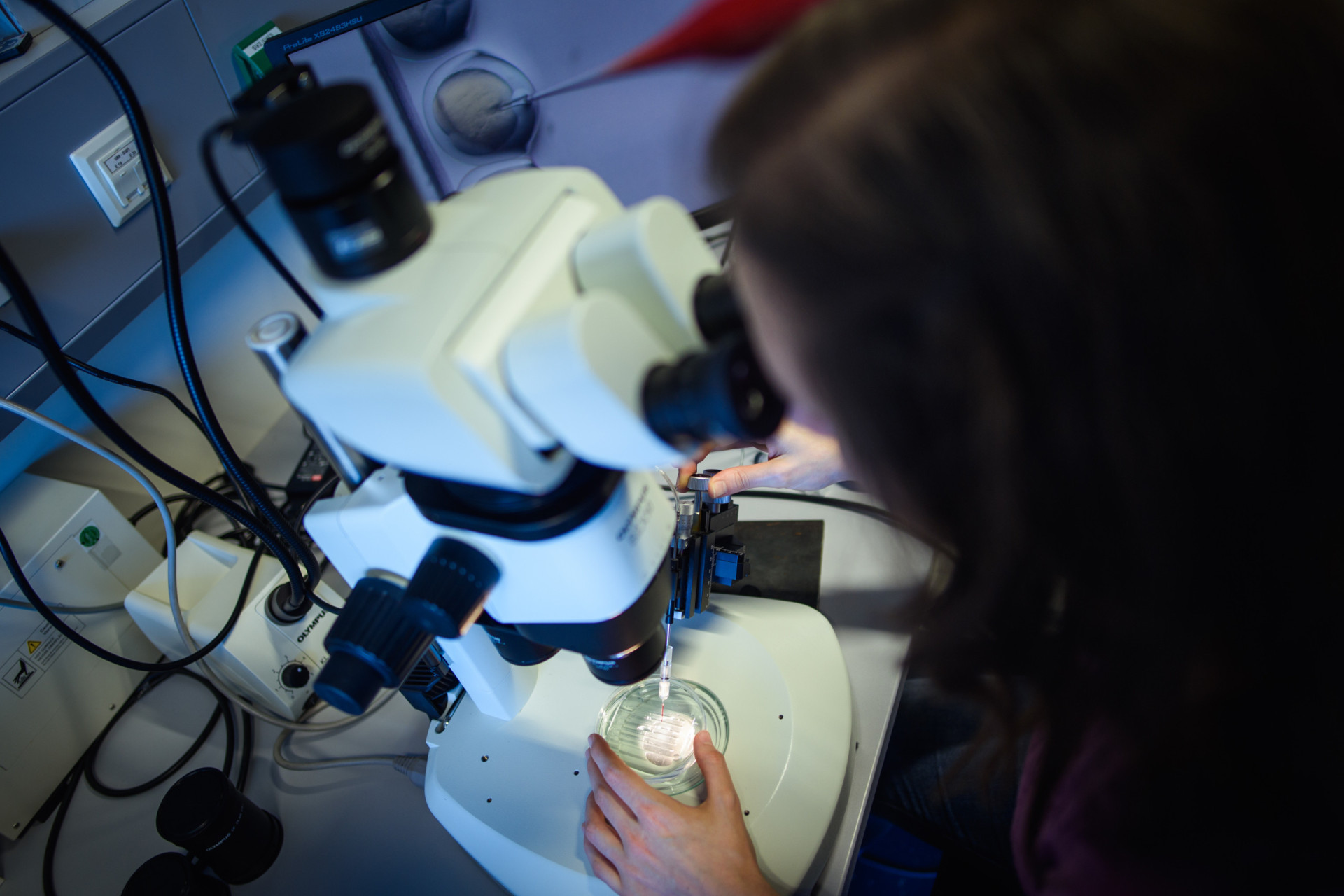 Humans may become immortal sooner than expected