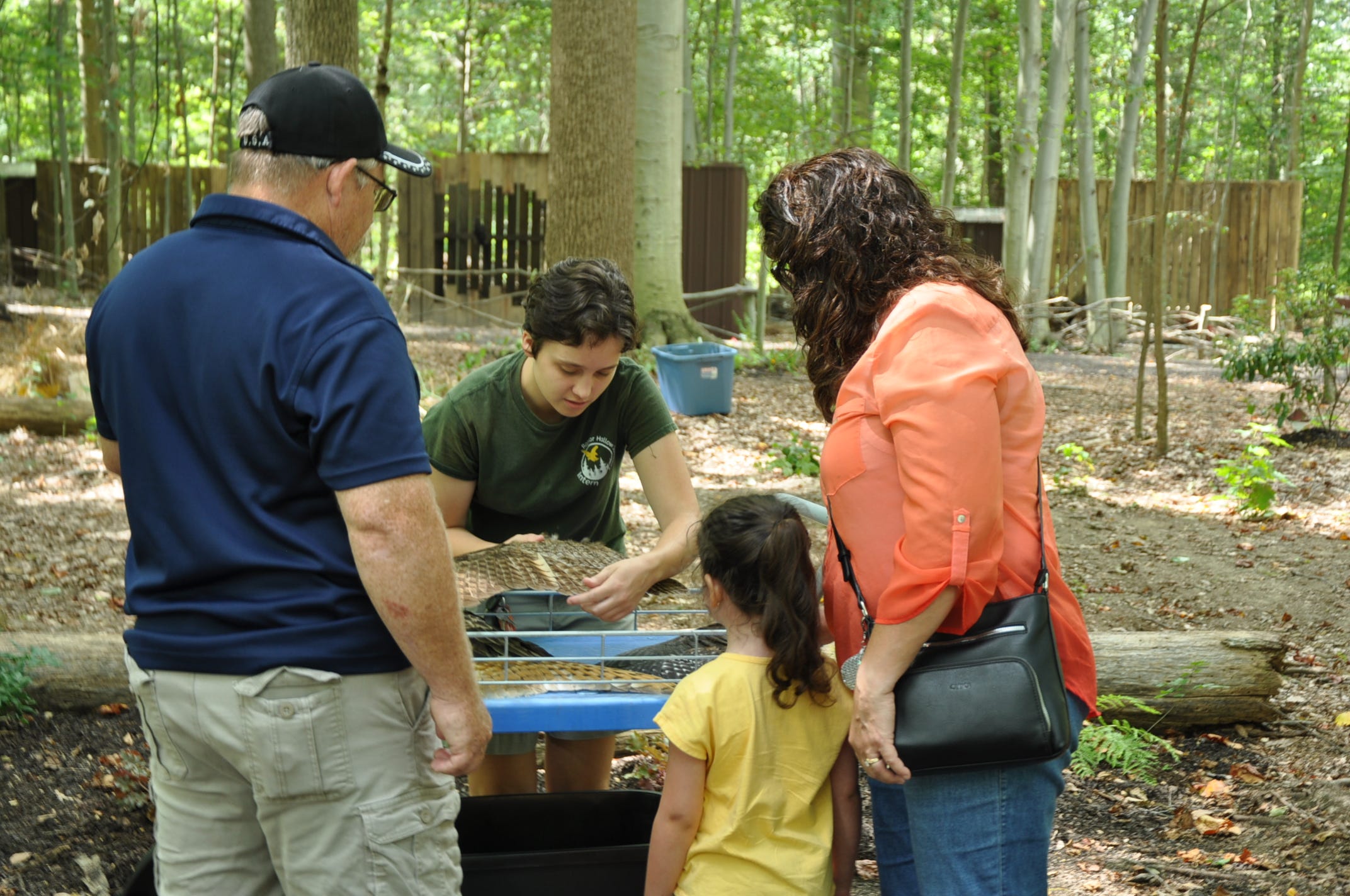 Raptor Hallow Sanctuary takes flight at new Alliance location