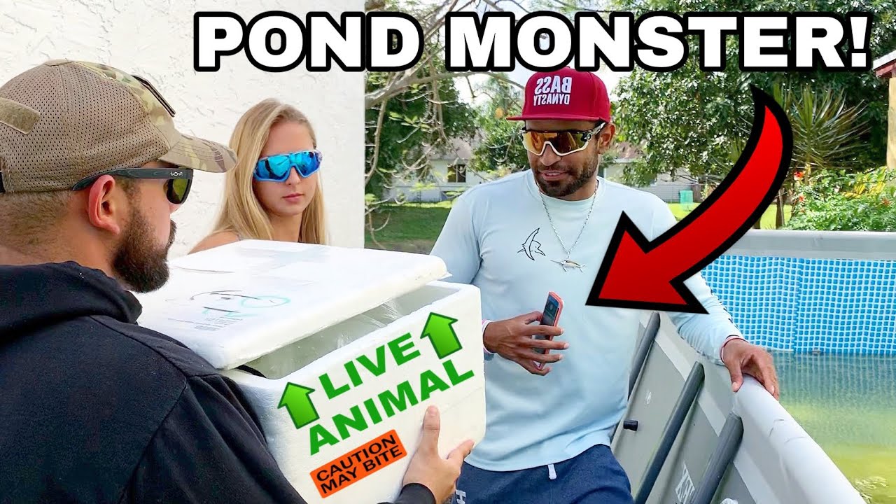 Surprising Catch Em All Fishing with a NEW Pond Monster!