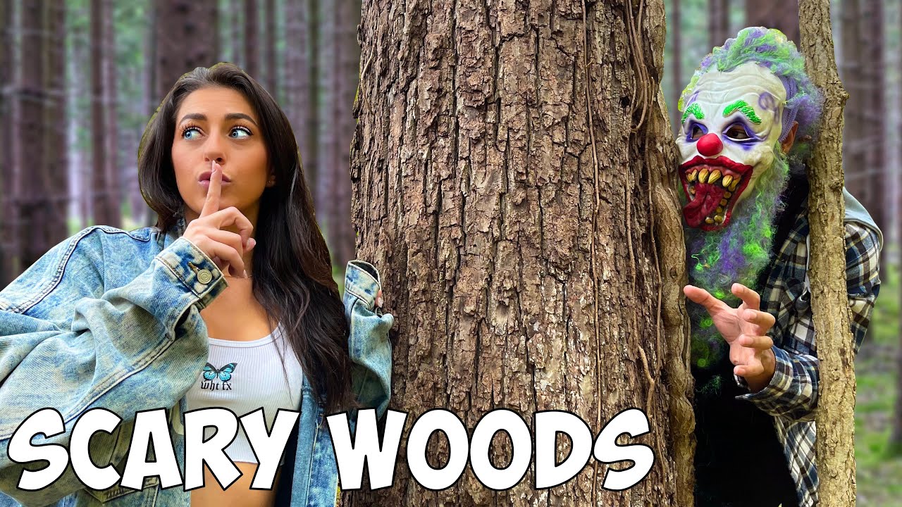 Hide and seek in a haunted forest adventure