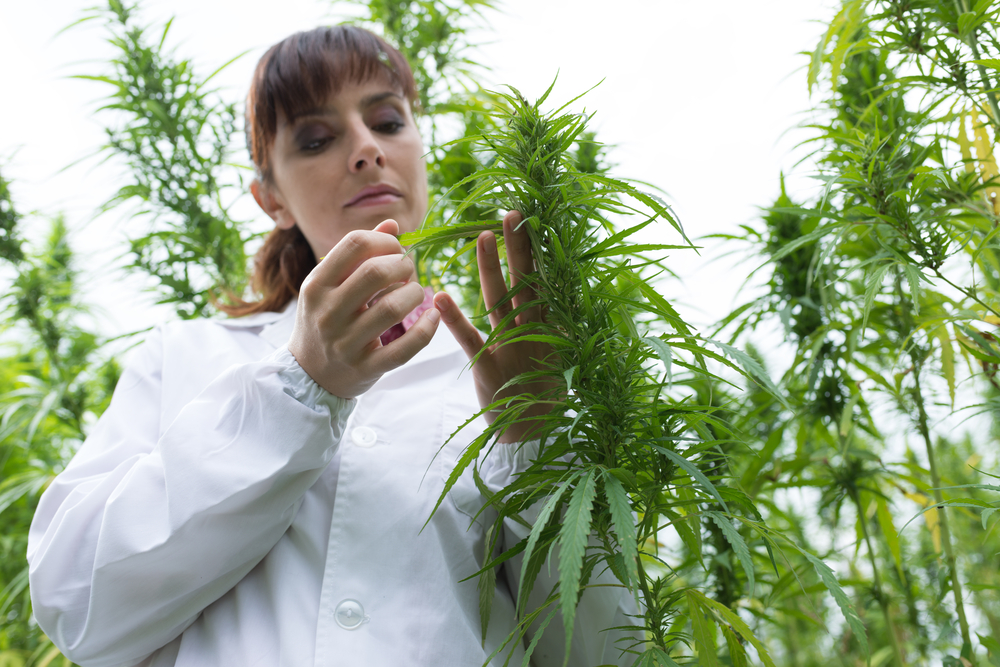 Tilray Brands, Inc. (TLRY)’s potential upside meets a cautious consensus