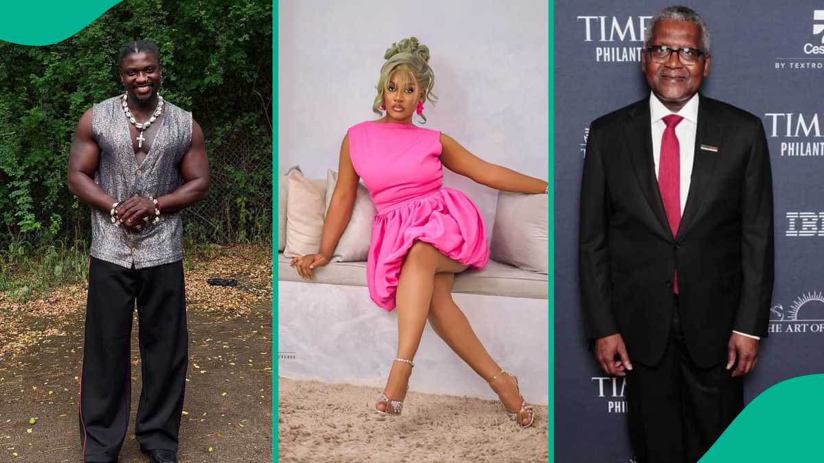 Dangote bows to pressure, finally replies Phyna concerning sister amiid betrayal saga with VDM