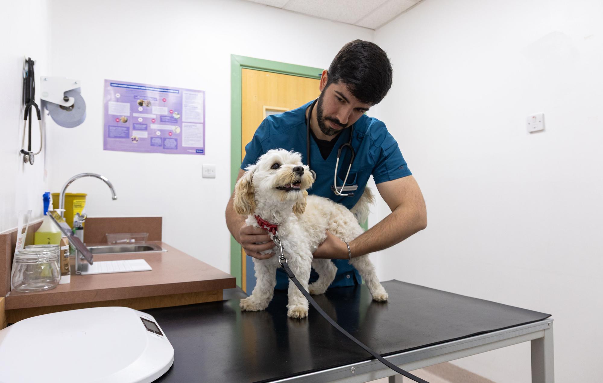 Yorkshire’s only 360 pet-care hub launches affordable veterinary centre