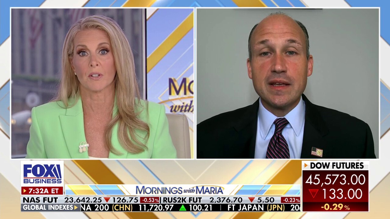 NY’s fate ‘hangs in the balance’ with gas ban, crime crisis: Rep ...