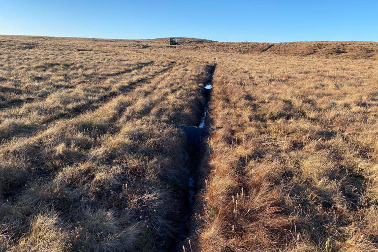 Don’t miss attending the CAFRE Uplands Open Day