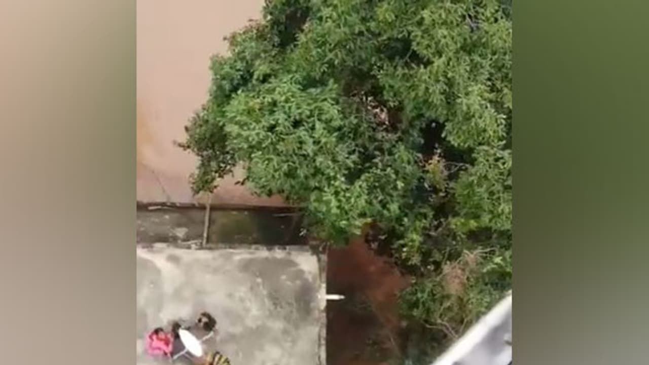 Punjab Flood Crisis: IAF Rescues 46, Airdrops 750 Kg Relief in Flood ...