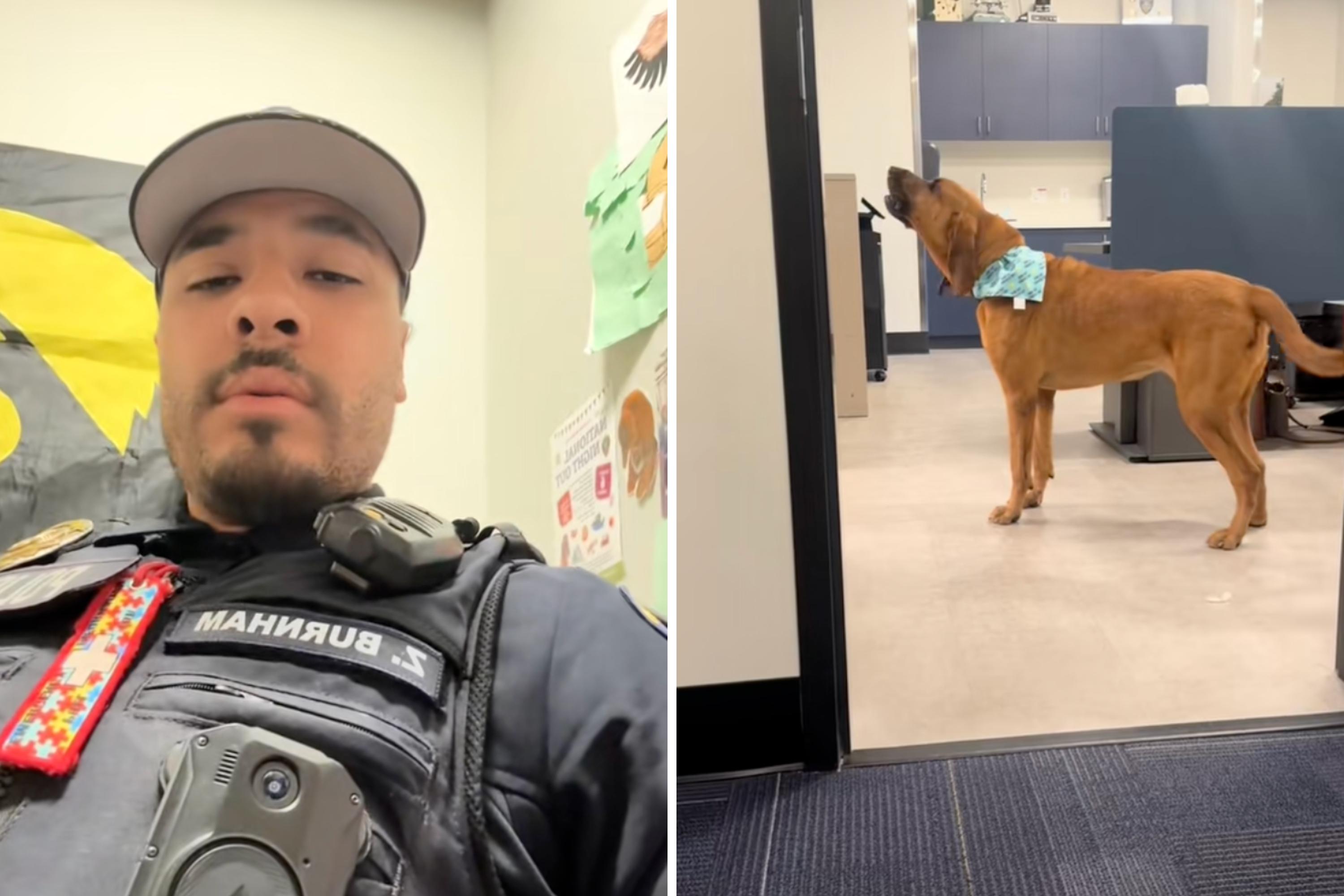 Cop records moment his dog arrives back, response doesn't disappoint