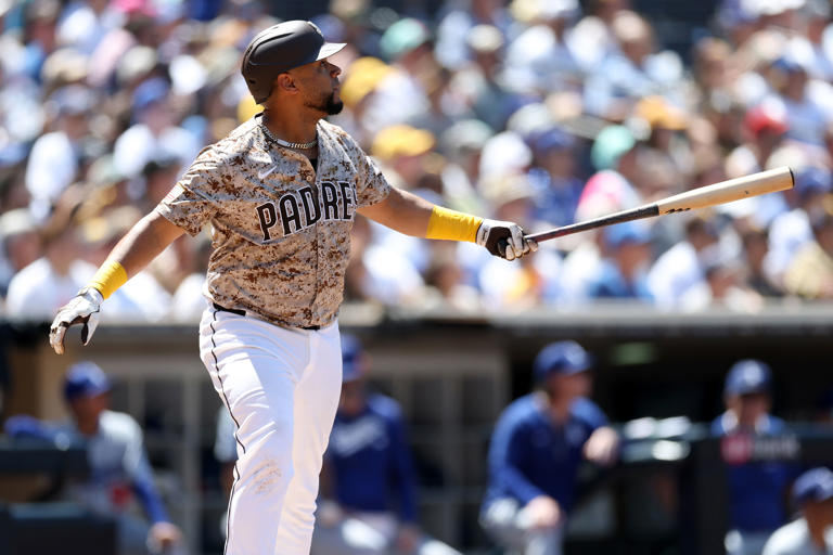 MLB Pennant Fever 2025